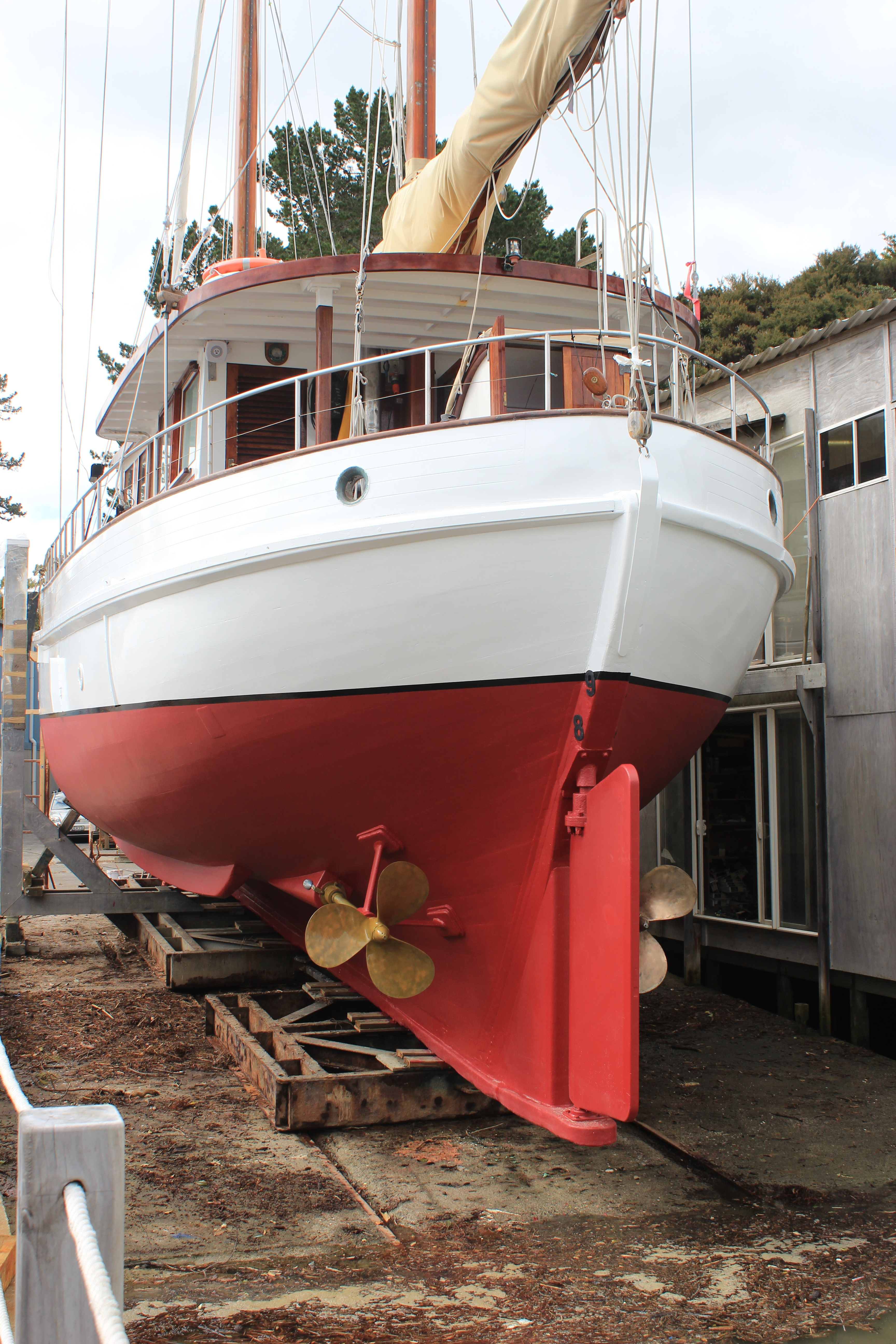 Sailing Sunday 19/10/14 – Ranui | waitematawoodys.com #1 for classic ...