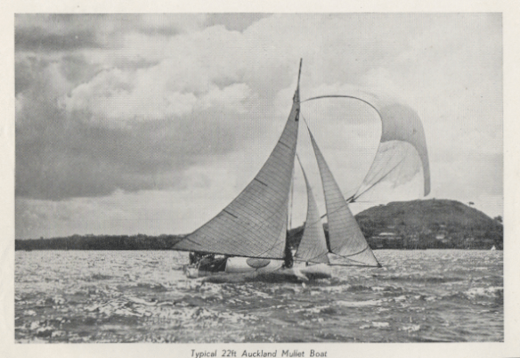 22′ Mullet Boat – Sailing Sunday | waitematawoodys.com #1 for classic ...