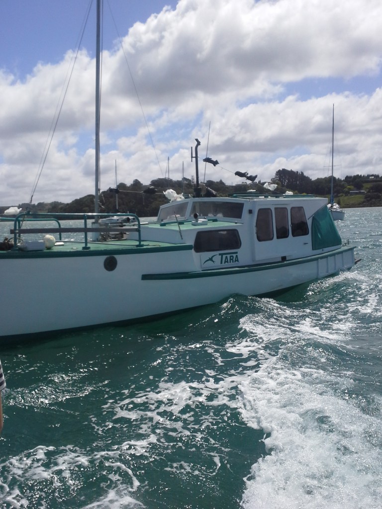 tara | waitematawoodys.com #1 for classic wooden boat stories, info ...