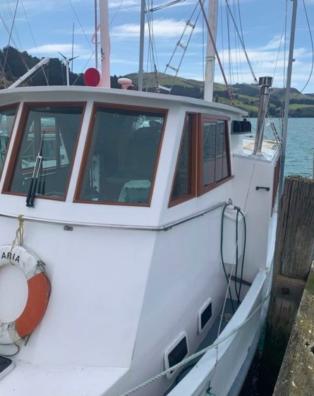 Aria + WIN a copy of the Des Townson book | waitematawoodys.com #1 for ...