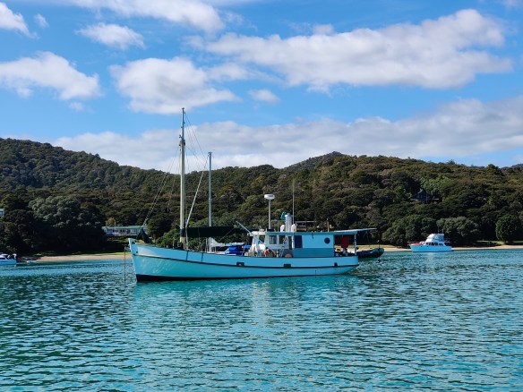 Tamaroa + Mason Bay | waitematawoodys.com #1 for classic wooden boat ...