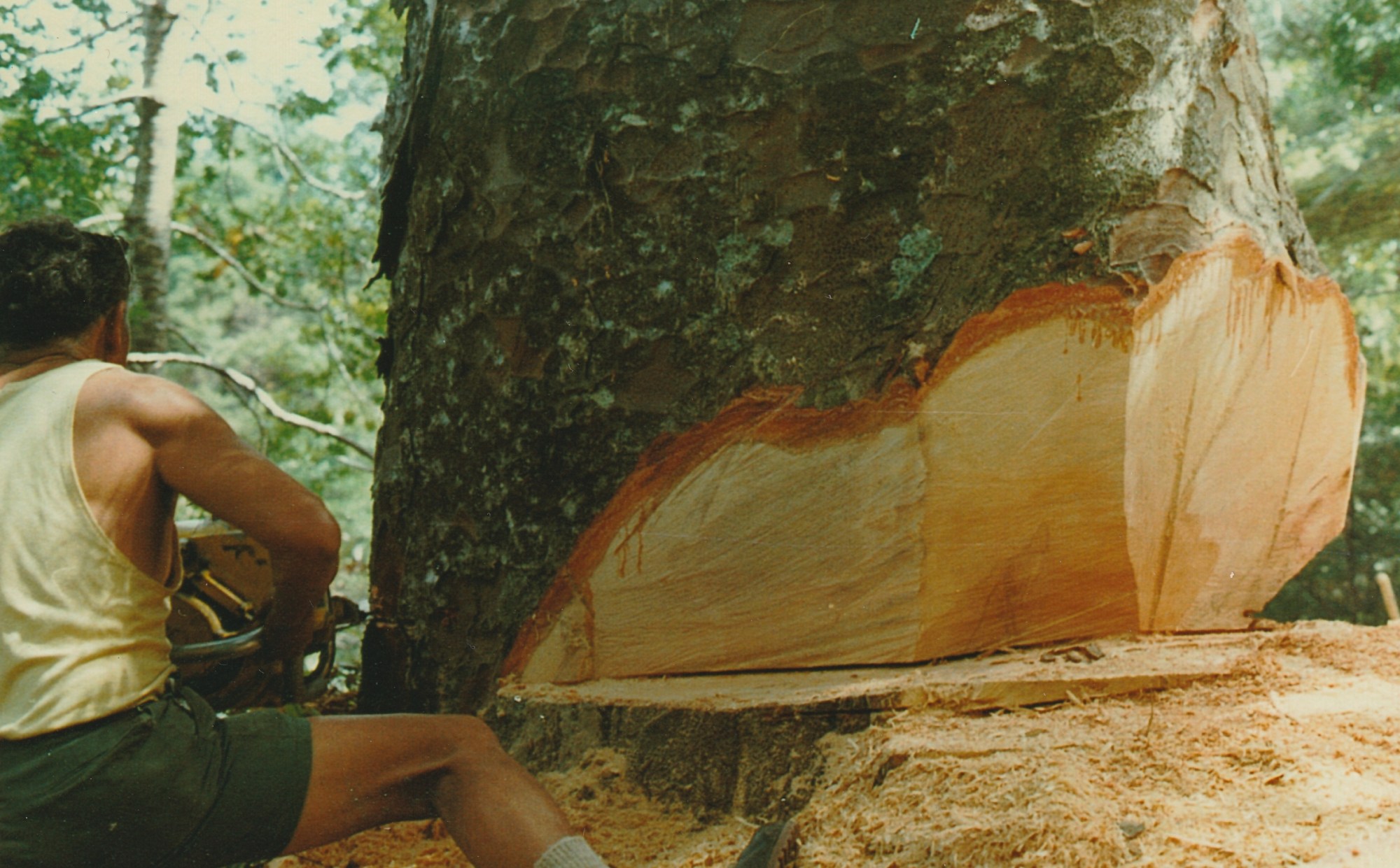 Alan Oram | waitematawoodys.com #1 for classic wooden boat stories ...