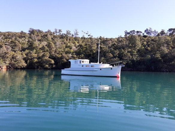 Skipjack (Sea Devil) | waitematawoodys.com #1 for classic wooden boat ...