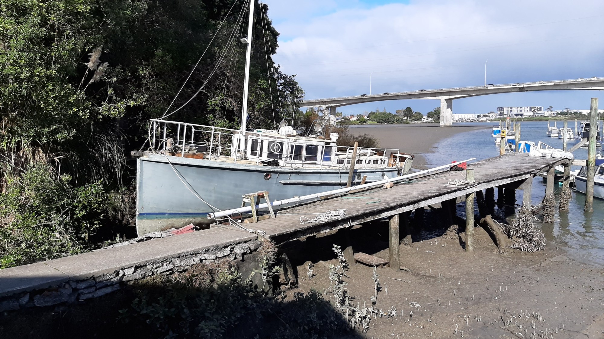 LADY AVA – Unseen Sinking Photo | waitematawoodys.com #1 for classic ...