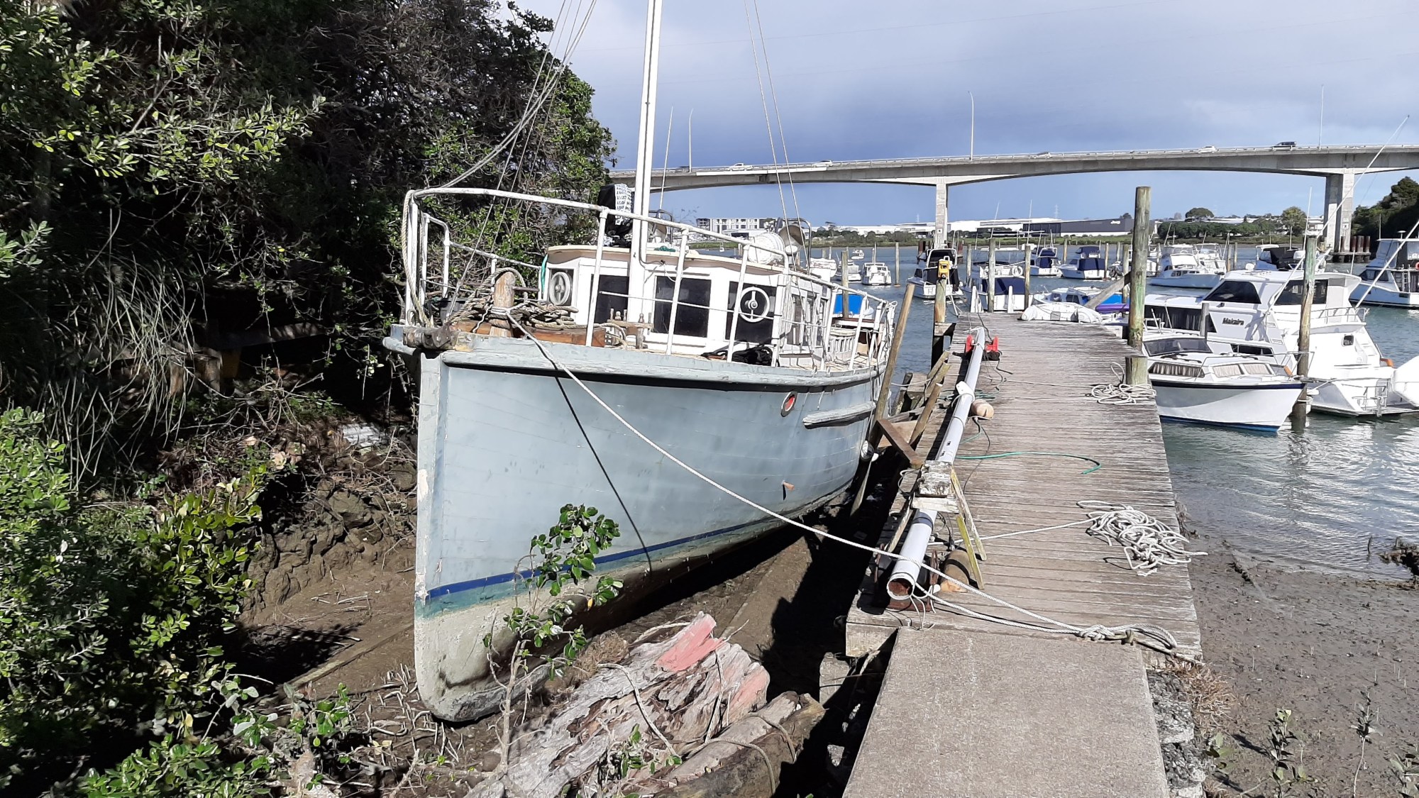 LADY AVA – Unseen Sinking Photo | waitematawoodys.com #1 for classic ...