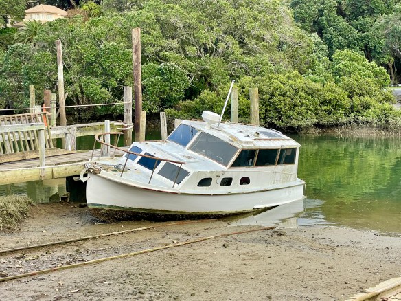 Maroro | waitematawoodys.com #1 for classic wooden boat stories, info ...
