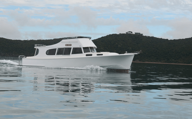 Te Honu – A Peek Down Below | waitematawoodys.com #1 for classic wooden ...