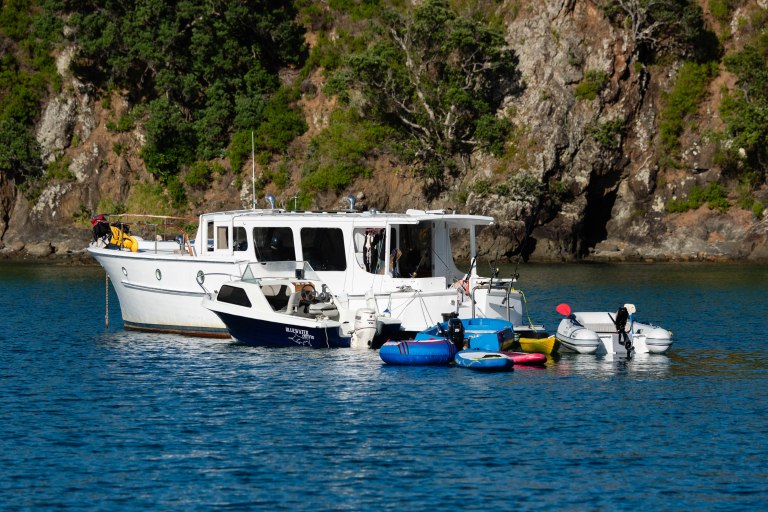 waitematawoodys.com #1 for classic wooden boat stories, info, advice ...