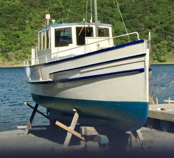 waitematawoodys.com #1 for classic wooden boat stories, info, advice ...