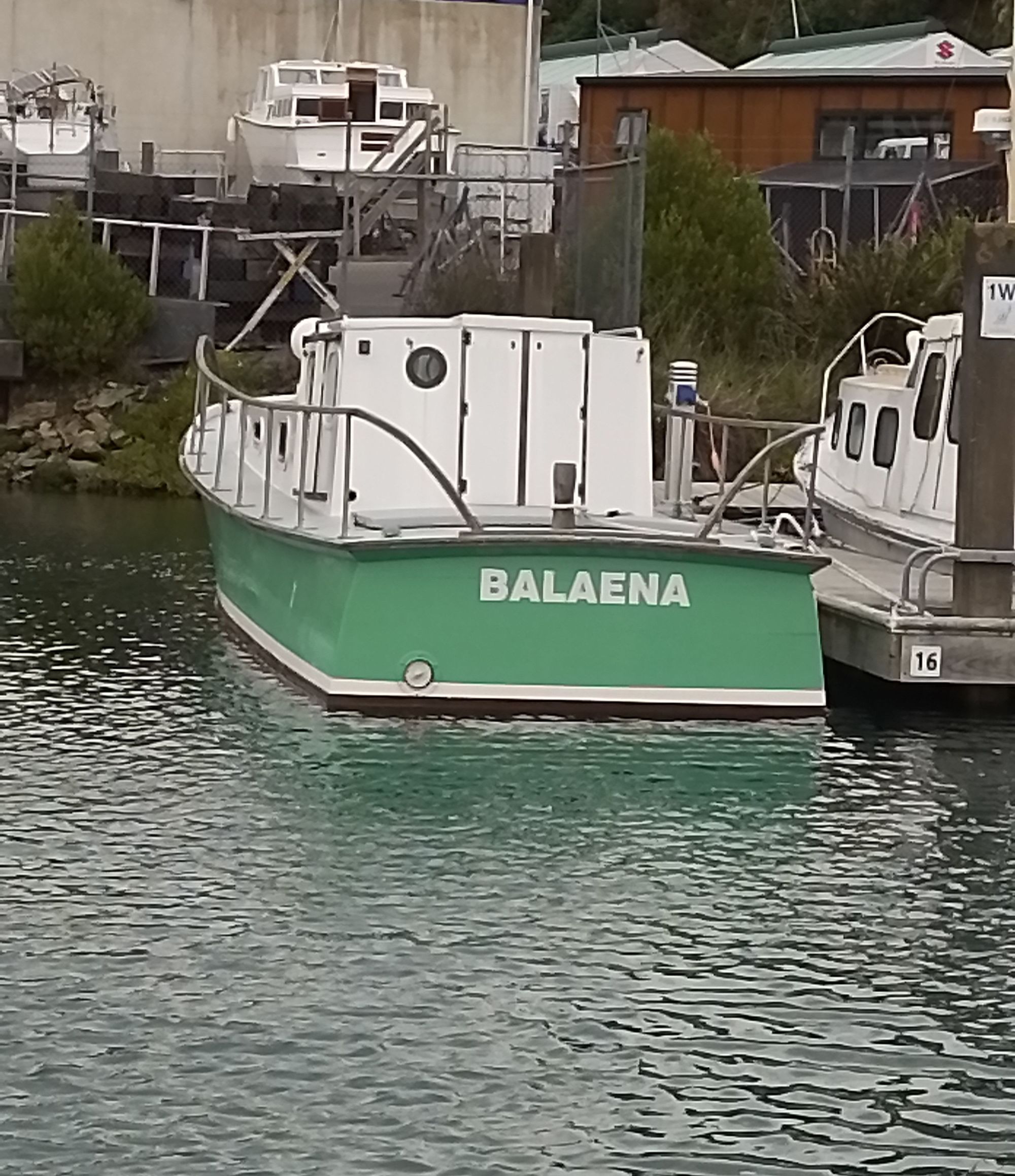 1912 WOODEN EX WHALE CHASER BALAENA – GETS A REVAMP | waitematawoodys ...